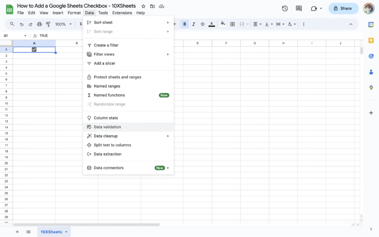 How to Add a Google Sheets Checkbox? (2025 Guide) - 10XSheets