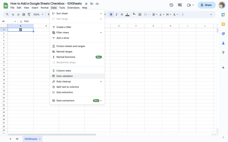 How to Add a Google Sheets Checkbox? (2025 Guide) - 10XSheets