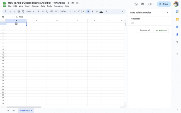 How to Add a Google Sheets Checkbox? (2025 Guide) - 10XSheets