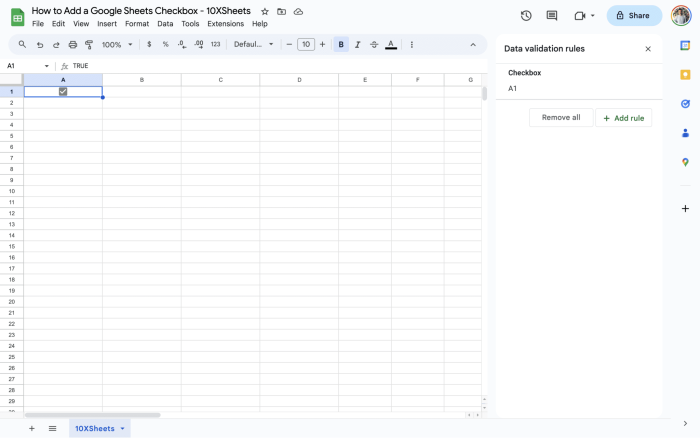 How to Add a Google Sheets Checkbox? (2025 Guide) - 10XSheets