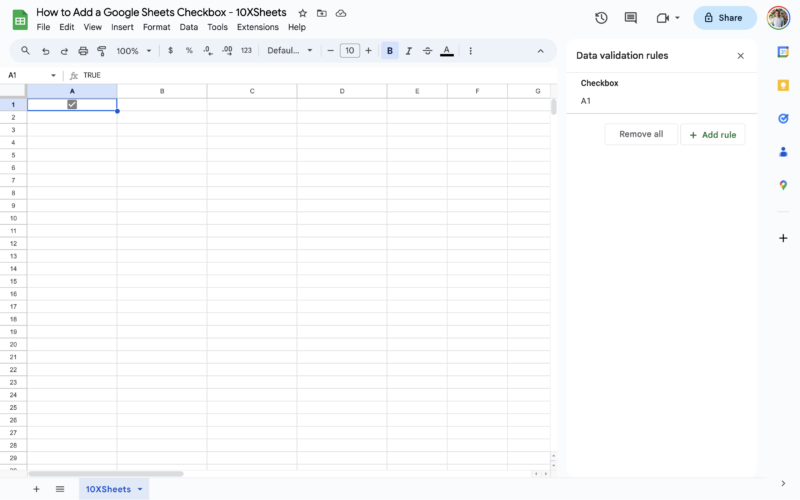 How to Add a Google Sheets Checkbox? (2025 Guide) - 10XSheets