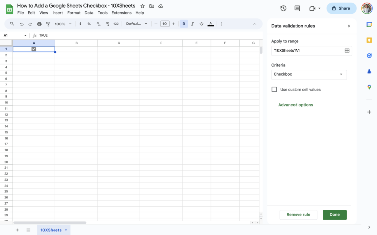 How to Add a Google Sheets Checkbox? (2025 Guide) - 10XSheets