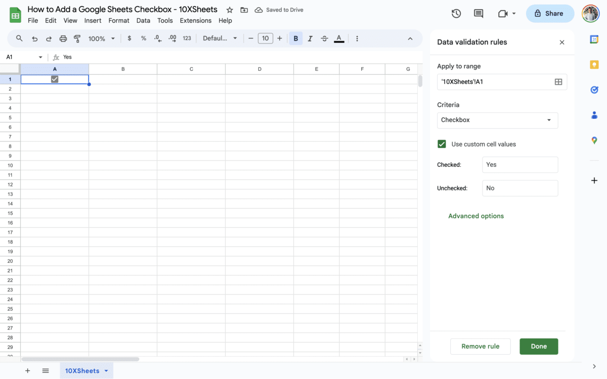 How to Add a Google Sheets Checkbox? (2025 Guide) - 10XSheets