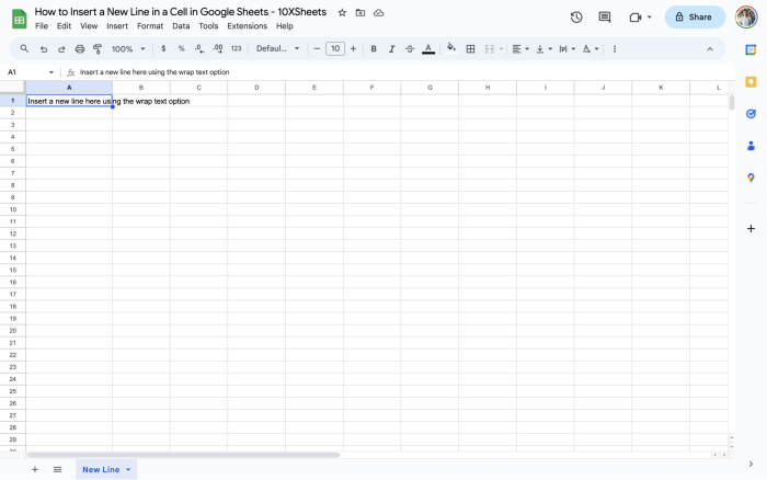 How to Insert a New Line in a Cell in Google Sheets (5 Easy Ways ...