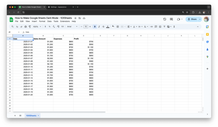 How to Make Google Sheets Dark Mode? 2025 Guide - 10XSheets