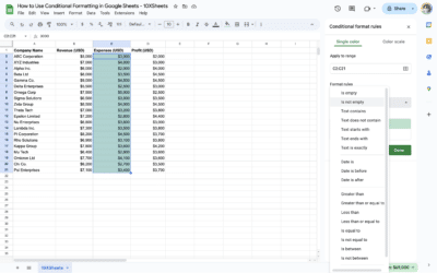 How to Use Conditional Formatting in Google Sheets (2025 Guide) - 10XSheets