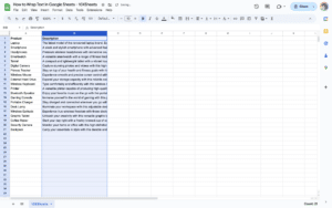 How to Wrap Text in Google Sheets: Step-By-Step Guide - 10XSheets