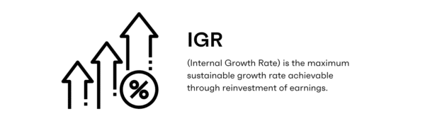 Internal Growth Rate (IGR): Definition, Formula, Calculation - 10XSheets