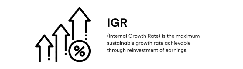 Internal Growth Rate (IGR): Definition, Formula, Calculation - 10XSheets