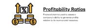 Profitability Ratios: Definition, Types, Formulas, Examples - 10XSheets